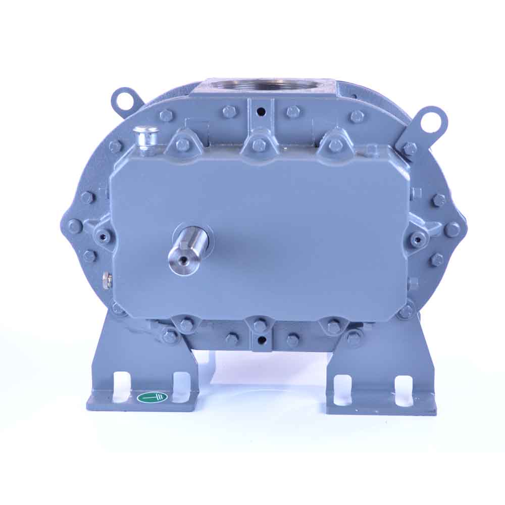 Roots 68 Universal RAI® DSL Rotary Positive Displacement Blower ...