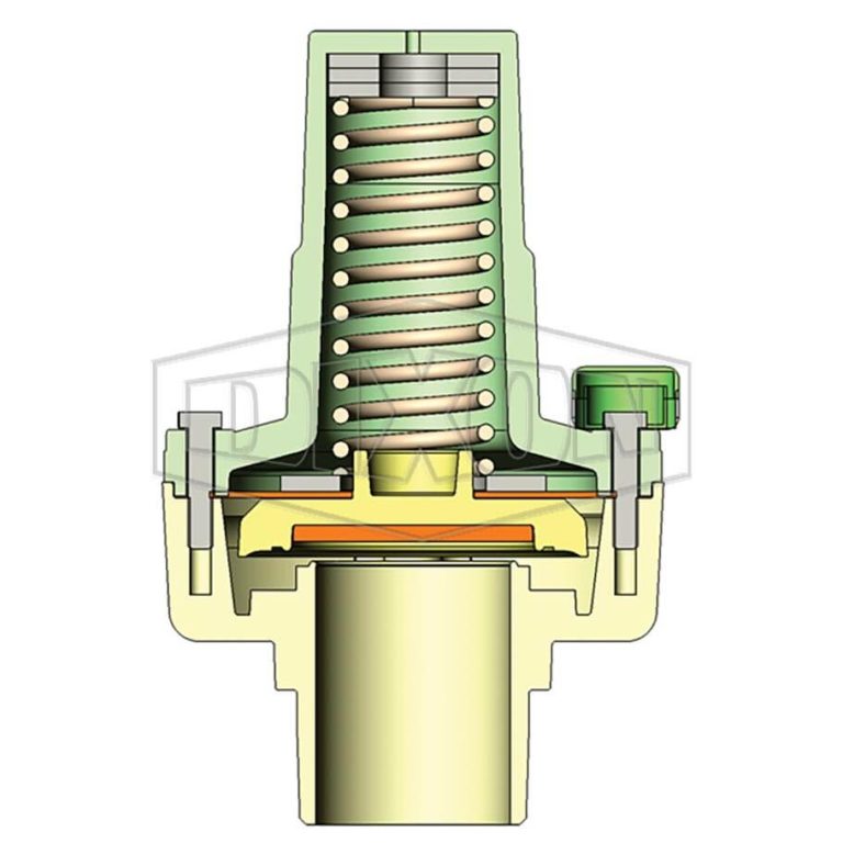 Dixon Pressure Relief Valve - 2" | pdblowers, Inc.